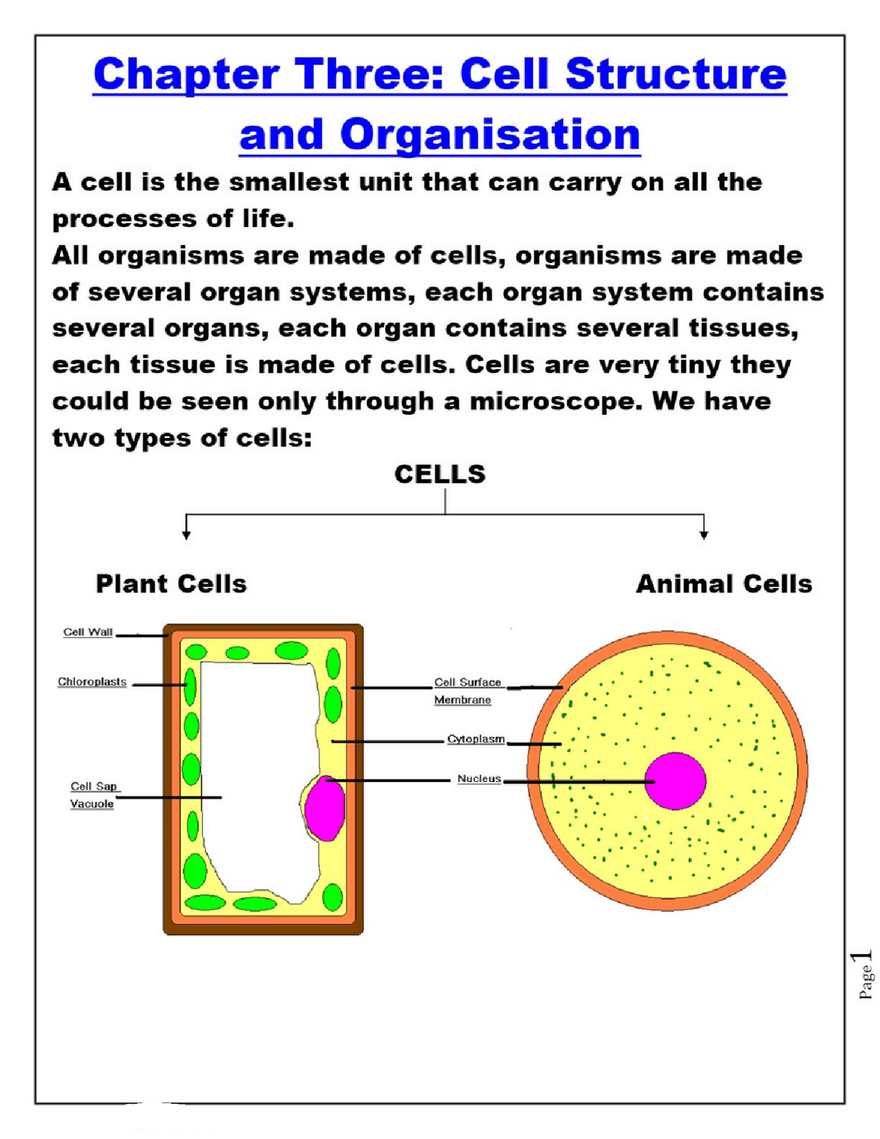 Biology Summarised Notes Chapter 3 Lecture Notes Biology Docsity