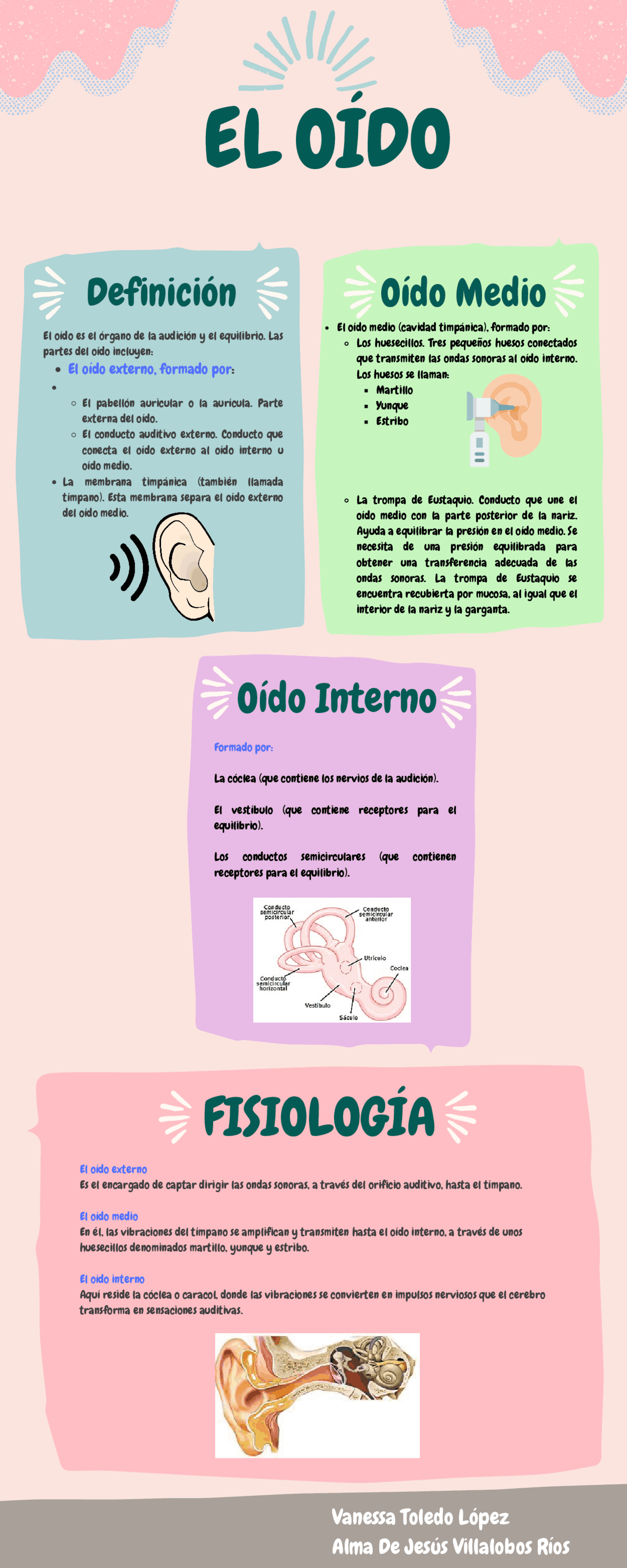 Infografía del Oído Humano | Guías, Proyectos, Investigaciones de ...