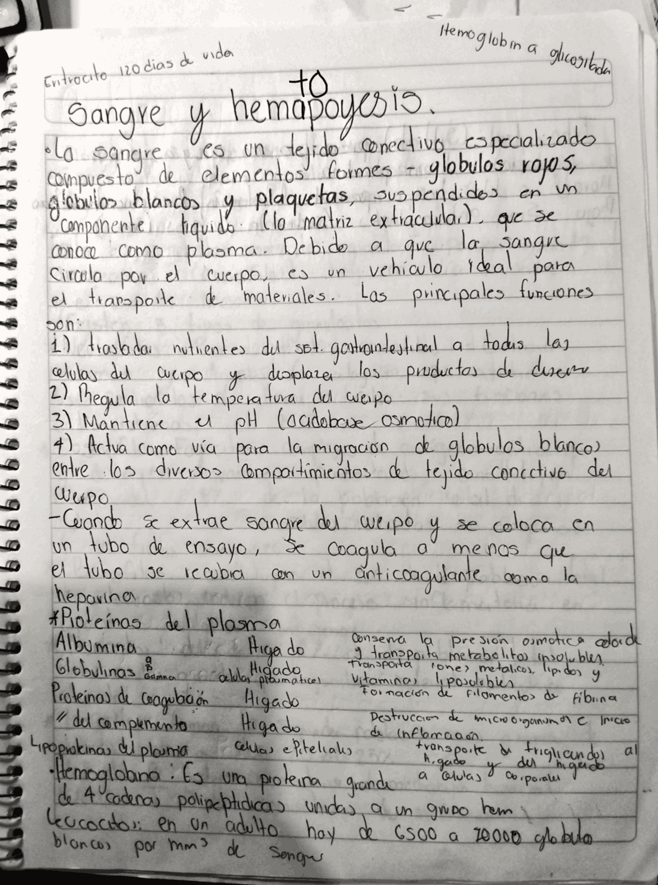 Sangre Y Hematopoyesis Resúmenes De Histología Docsity
