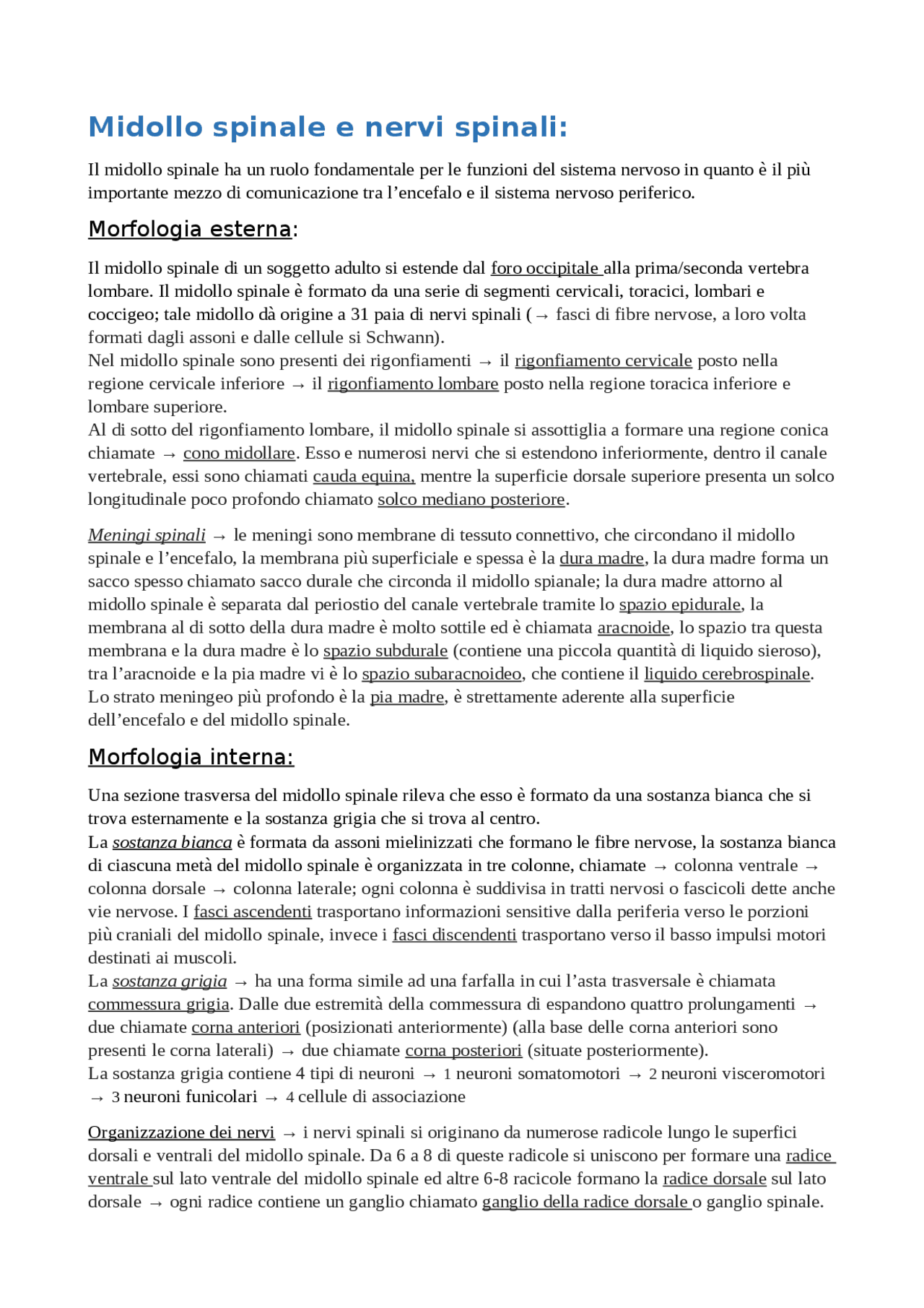 Midollo spinale e nervi spinali | Sbobinature di Anatomia | Docsity
