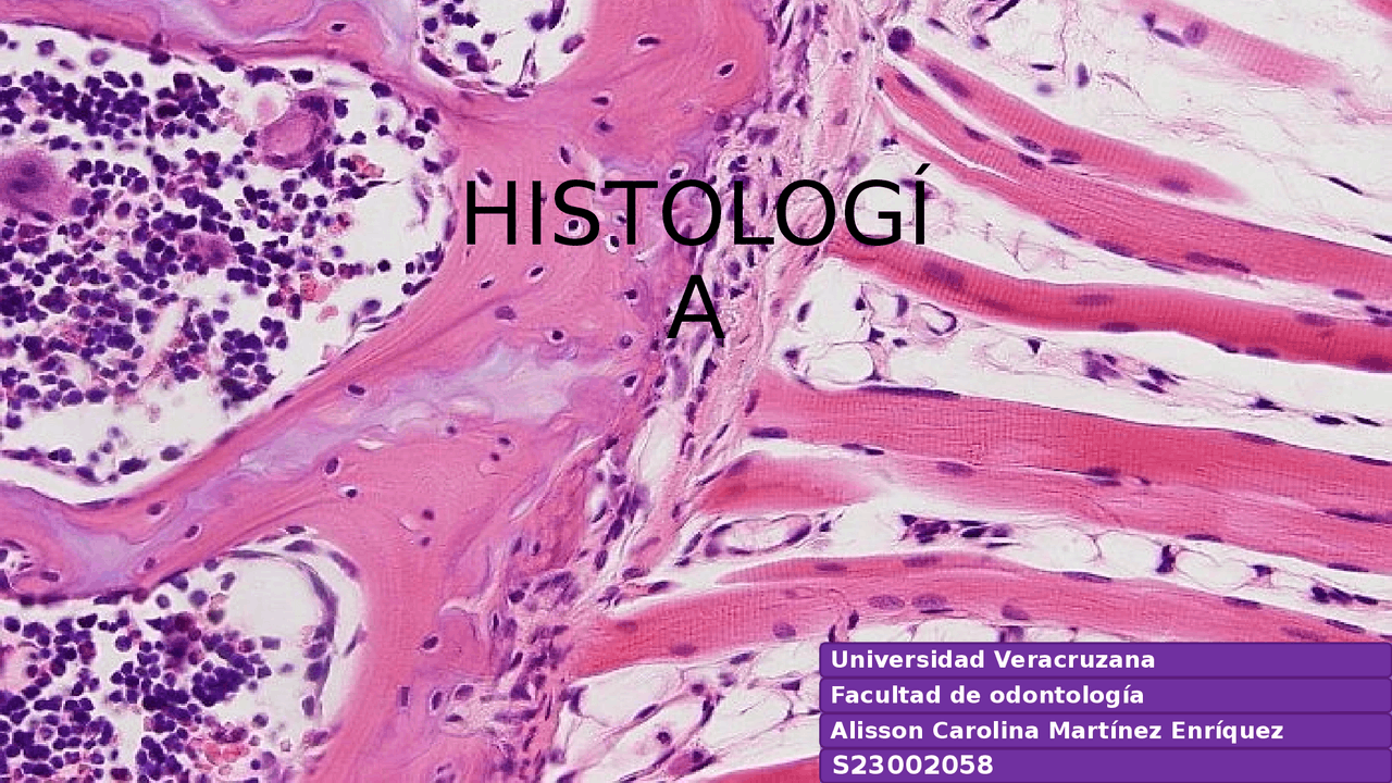 Histologia Parcial 1 Diapositivas De Histología Docsity