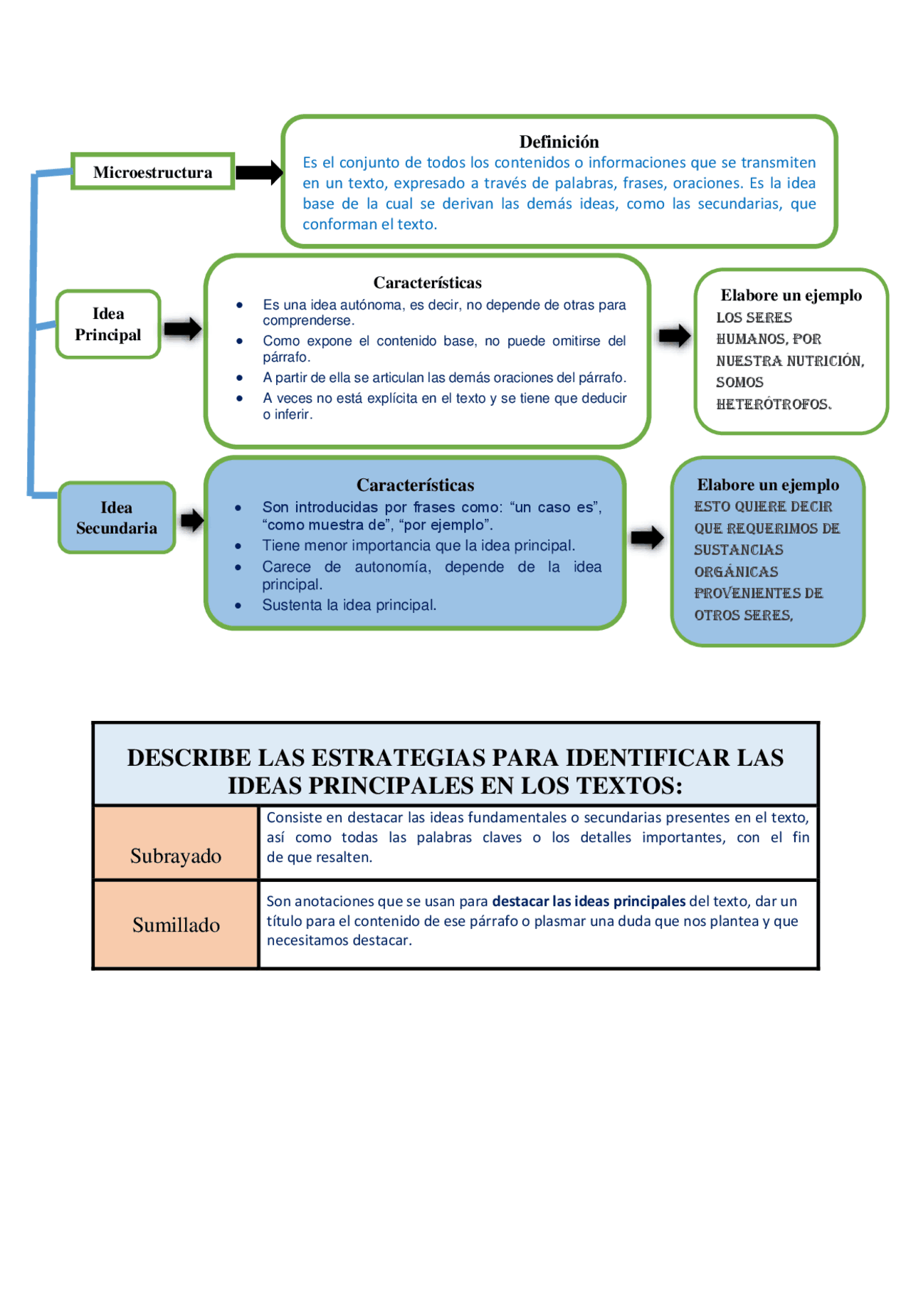LA MICROESTRUCTURA TEXTUAL | Apuntes de Competencias en Microsoft Word ...
