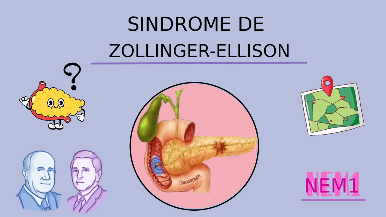 Síndrome De Zollinger Ellison Diapositivas De Histología Docsity