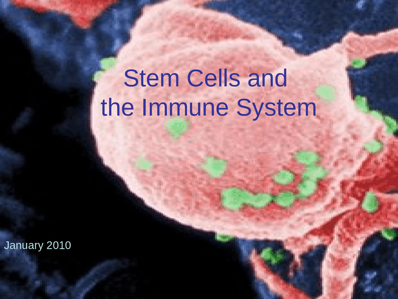 Stem cells and Immune system | Slides Biology | Docsity