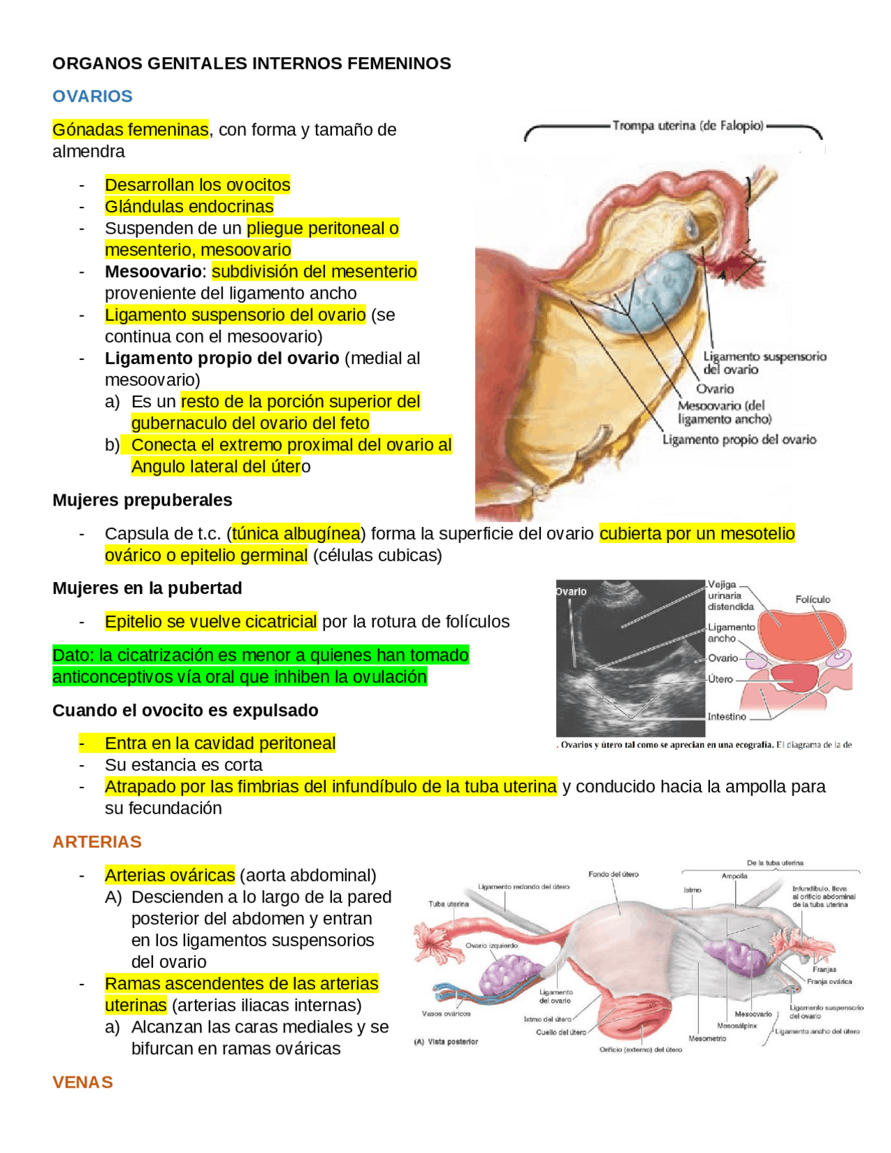 Ovario Gubernaculo Anatomía Del Ovario Y Trompas De Falopio: