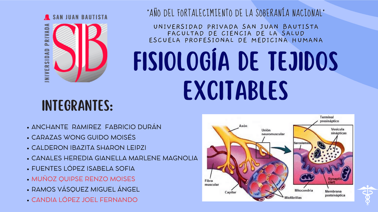 FISIO DE TEJIDOS EXCITABLES | Esquemas y mapas conceptuales de ...
