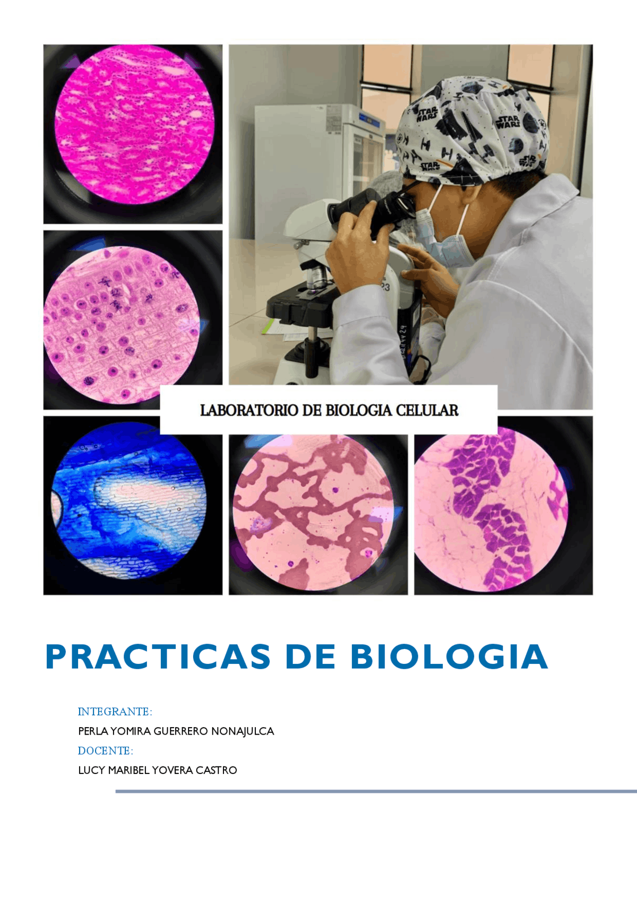 Guias Practicas De Biologia Monografías Ensayos De Biología Docsity