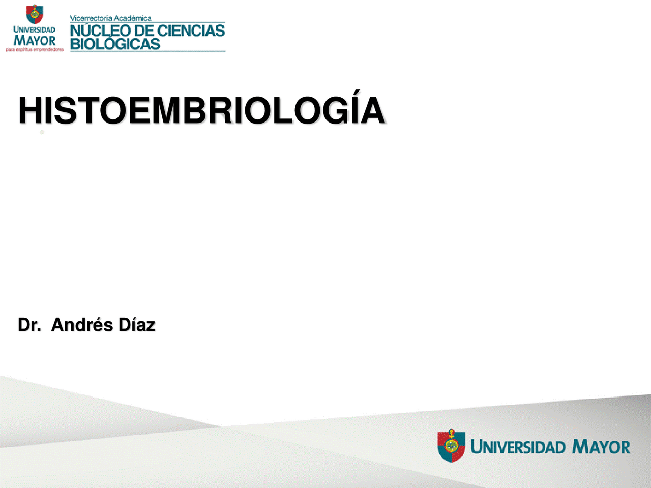 Embriología Clase De Embarazo Diapositivas De Embriología Docsity