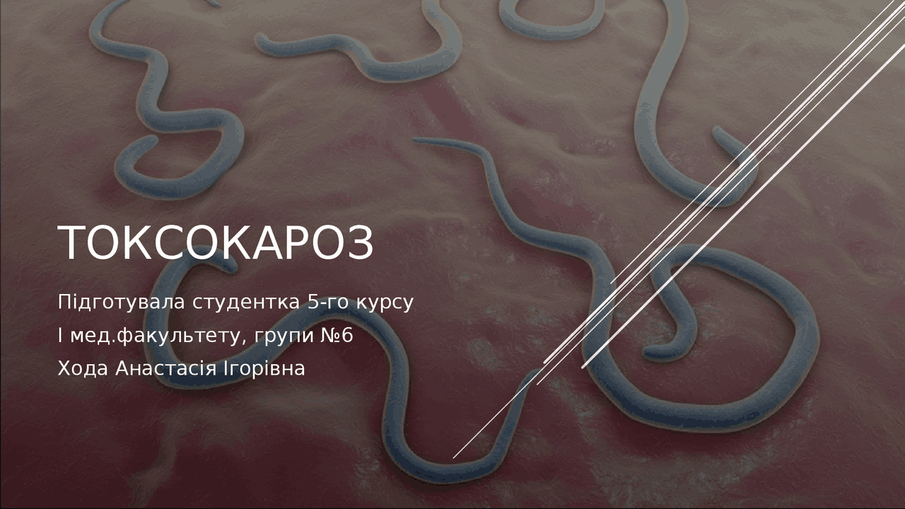презентация по теме "Токсокароз" | Презентации Инфекционные болезни ...