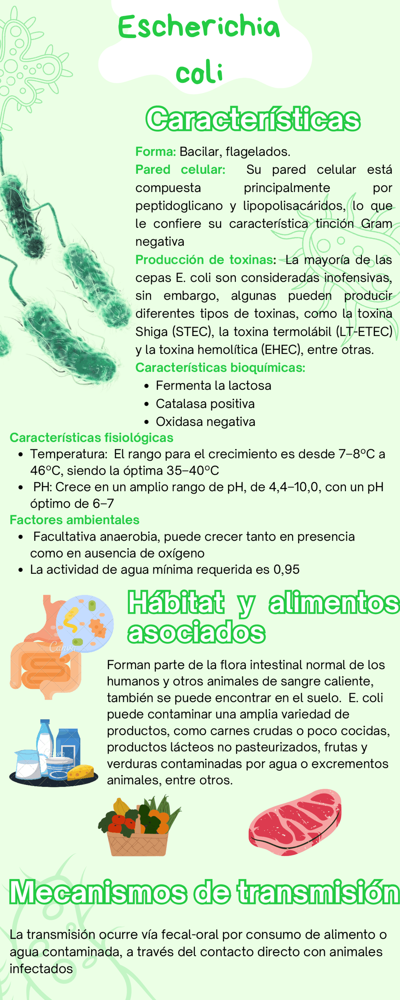 Características de Escherichia coli | Apuntes de Microbiología | Docsity