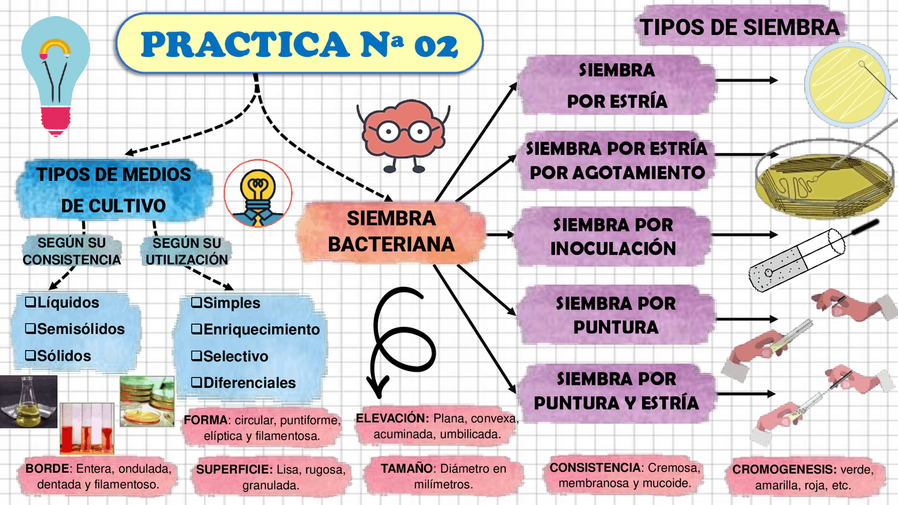 TIPOS DE MEDIOS DE CULTIVO | Esquemas y mapas conceptuales de ...