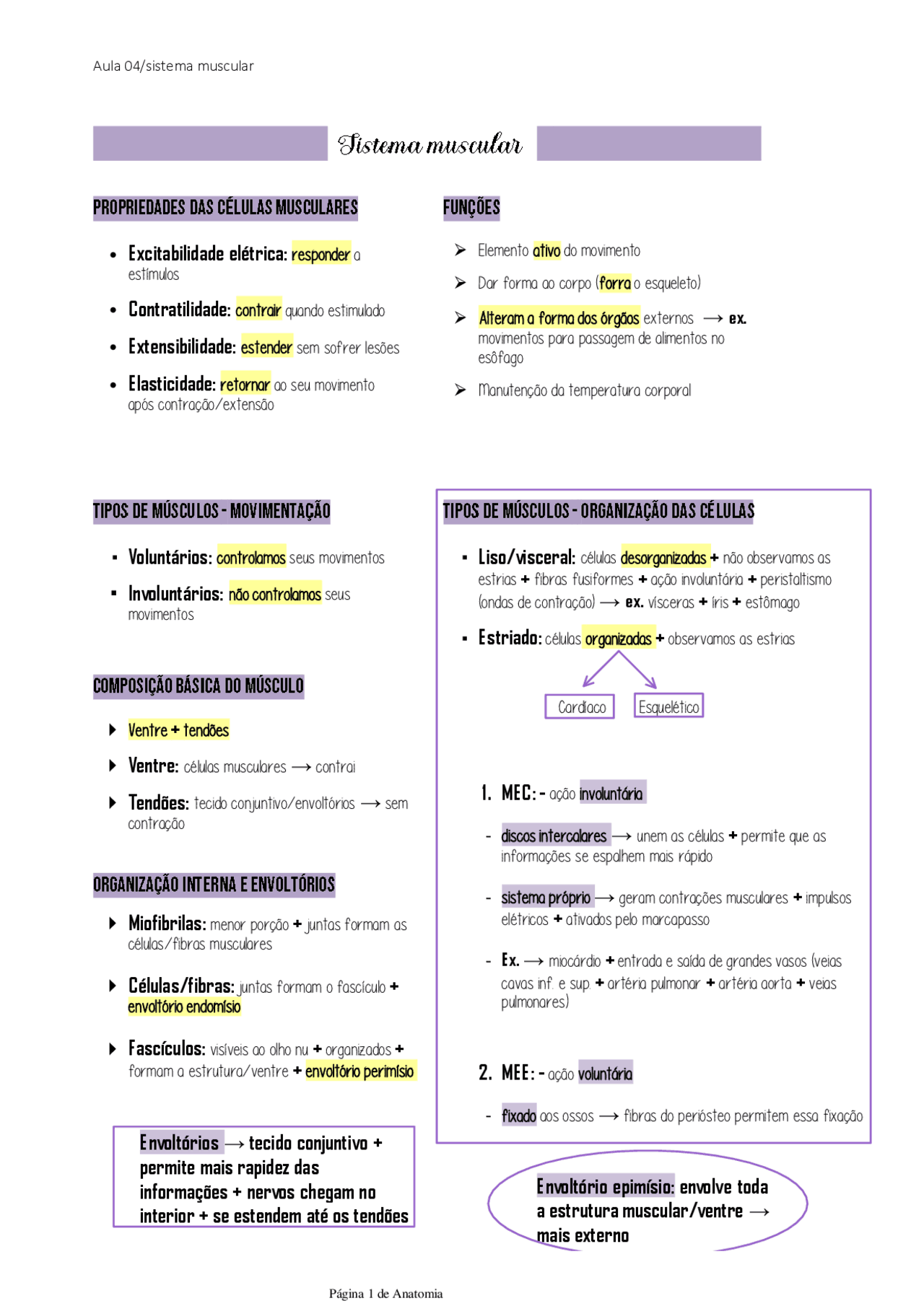 Resumo Sistema Muscular Completo Anatomia Humana Resumos Anatomia