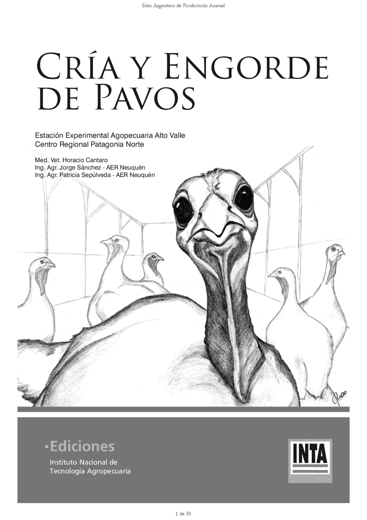 pavos y sus características | Apuntes de Religión | Docsity