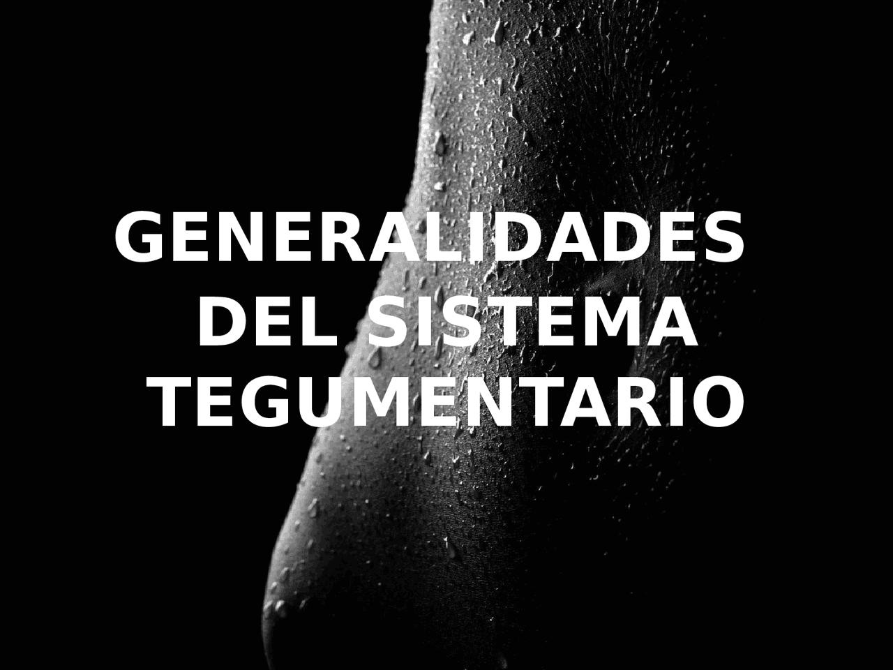 Sistema Tegumentario 1 Diapositivas De Anatomía Docsity