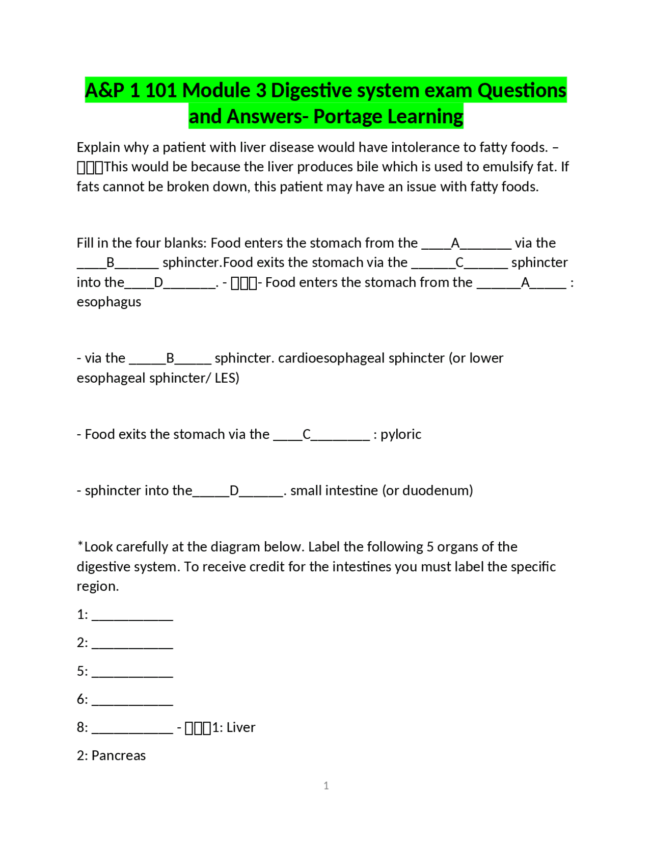 A&P 1 101 Module 3 Digestive system exam Questions and Answers- Portage ...
