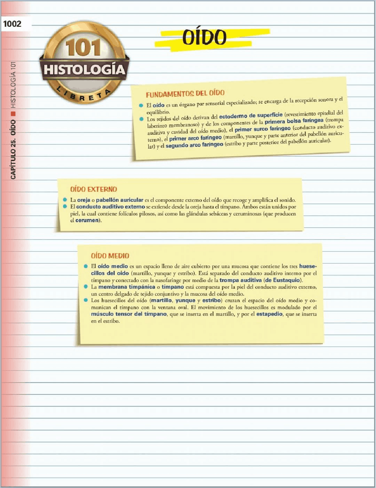 Histologia 2 Parcial Apuntes De Histología Docsity