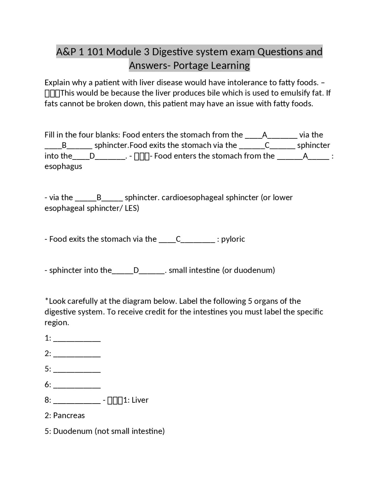A&P 1 101 Module 3 Digestive system exam Questions and Answers- Portage ...