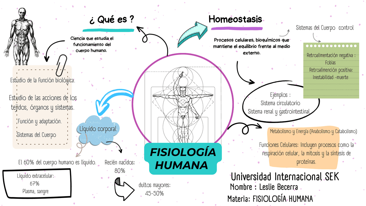 fisiología