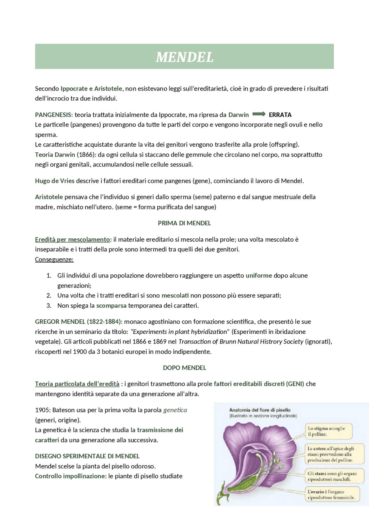 Da Mendel Ai Modelli Di Ereditarietà Appunti Di Biologia Docsity