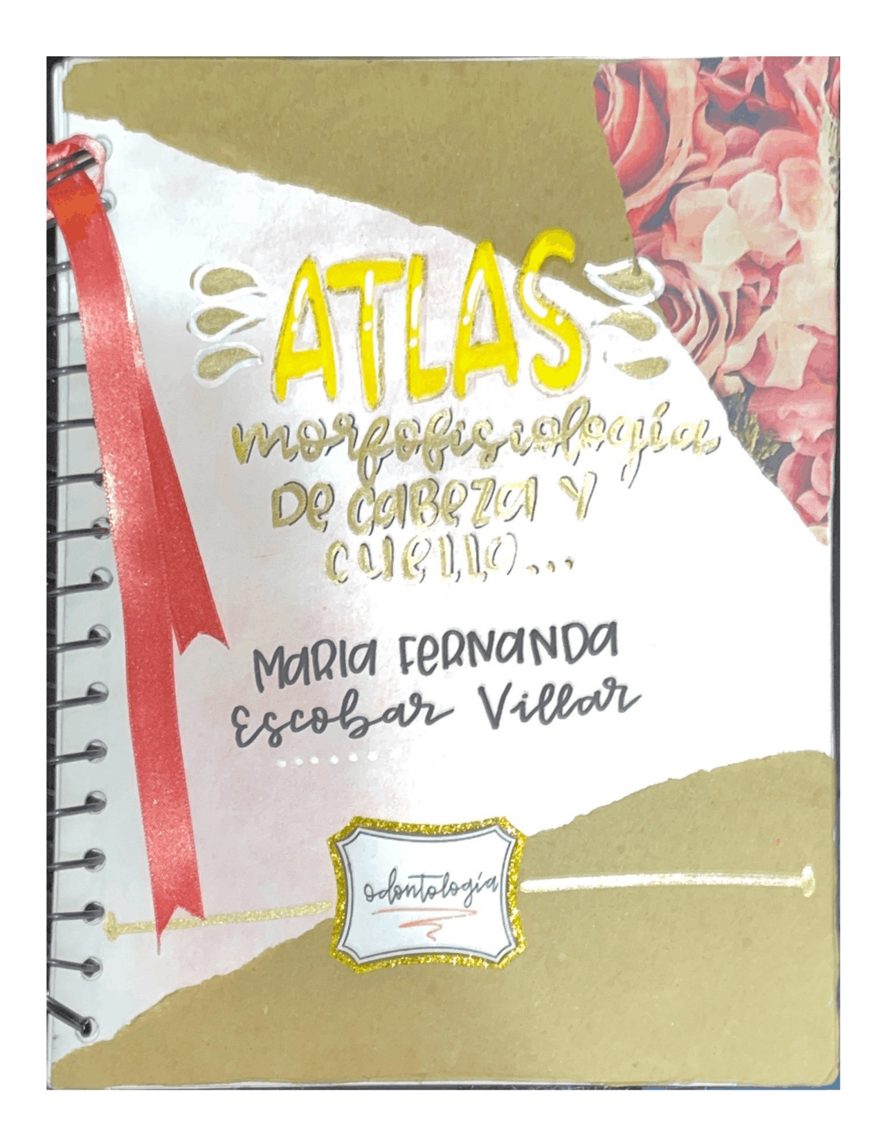 Atlas Sobre Anatomía Y Morfofisiologia Apuntes De Odontología Docsity