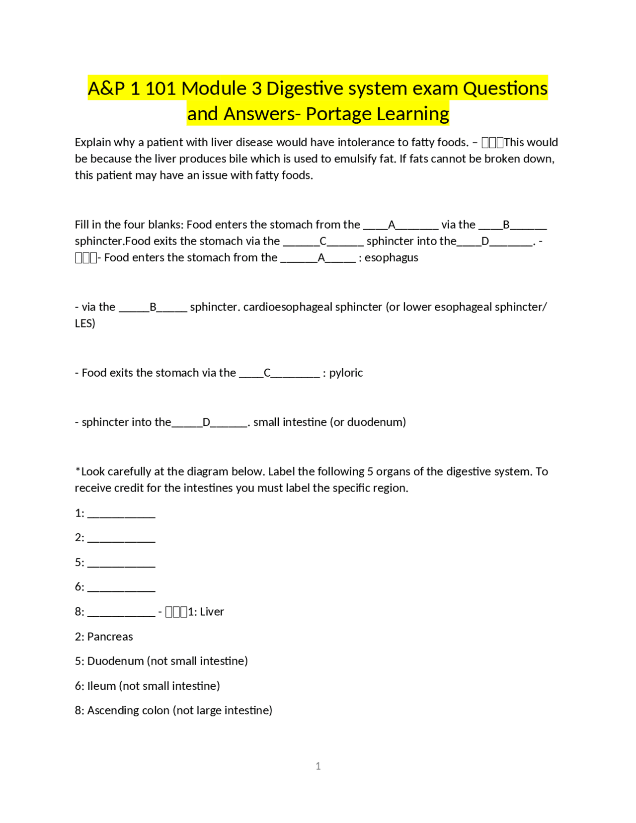 A&P 1 101 Module 3 Digestive system exam Questions and Answers- Portage ...