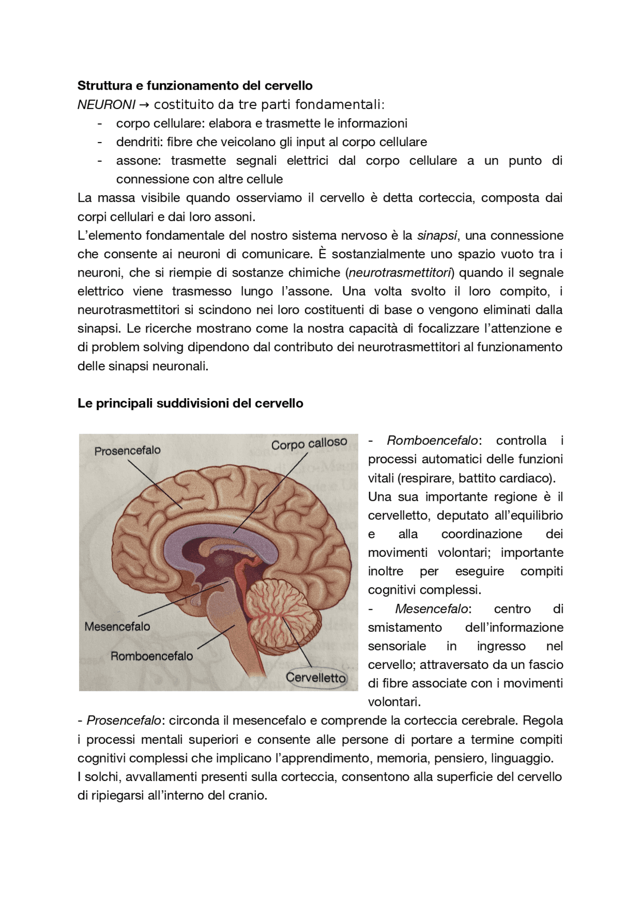 Schema Del Cervello Vuoto Il Problema Mente Cervello Enciclopedia