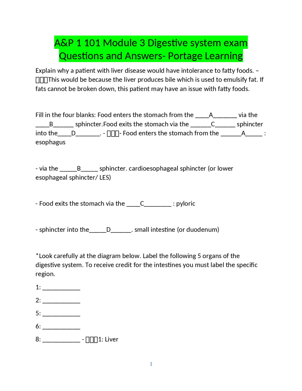 A&P 1 101 Module 3 Digestive system exam Questions and Answers- Portage ...