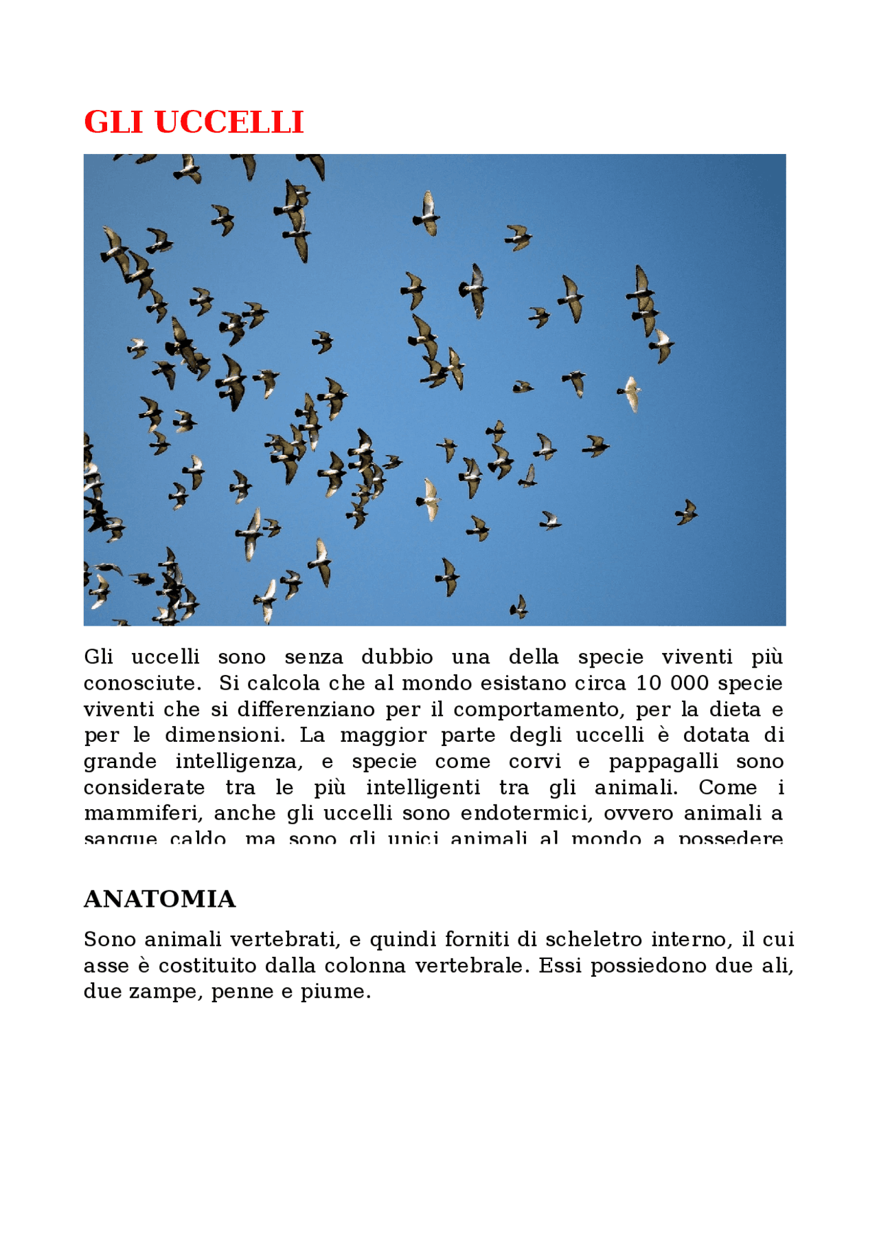 Ricerca Sugli Uccelli Guide Progetti E Ricerche Di Biologia Docsity