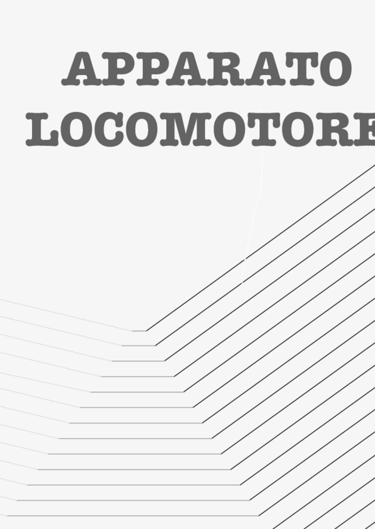 Sintesi apparato locomotore | Schemi e mappe concettuali di Anatomia ...