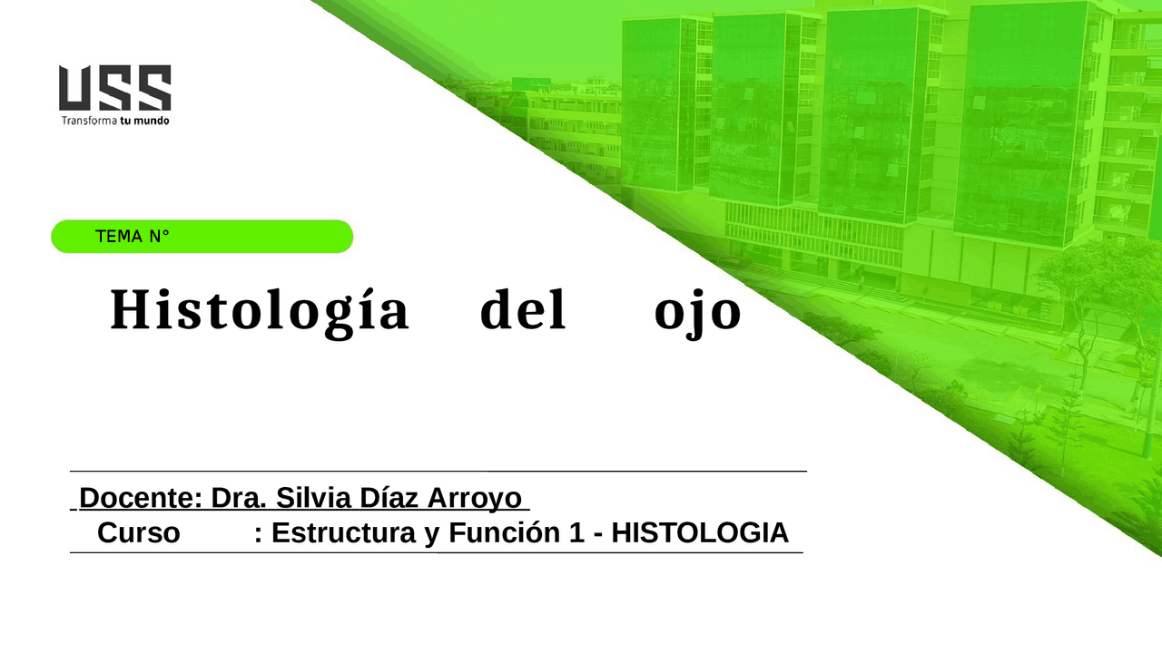 Histologia Del Ojo Diapositivas De Histología Docsity