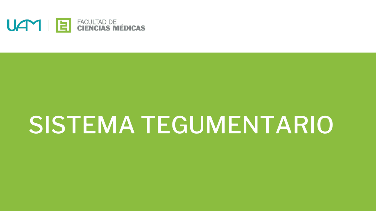 Sistema Tegumentario Diapositivas De Histología Docsity