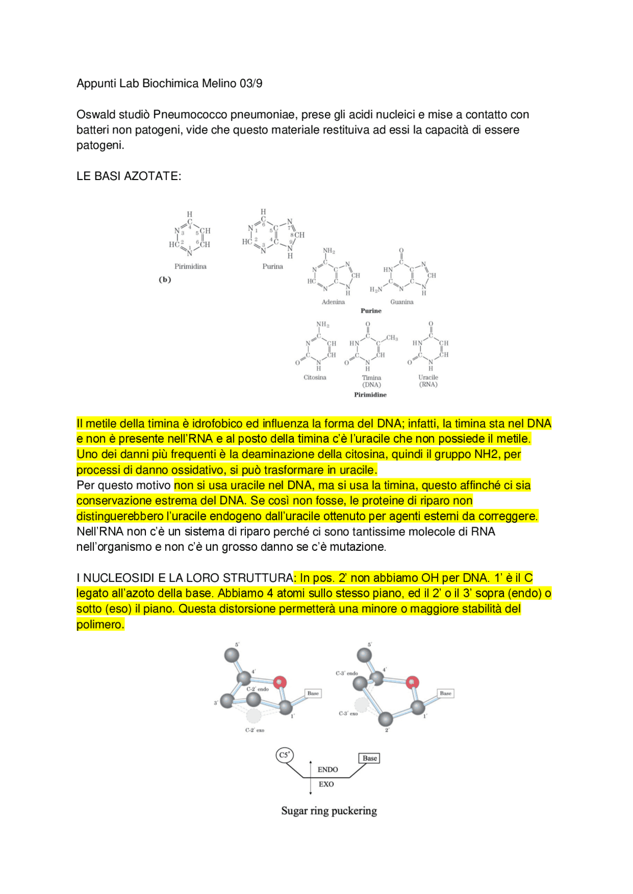 Appunti Completi Di Biochimica Avanzata Con Tecniche Di Biochimica