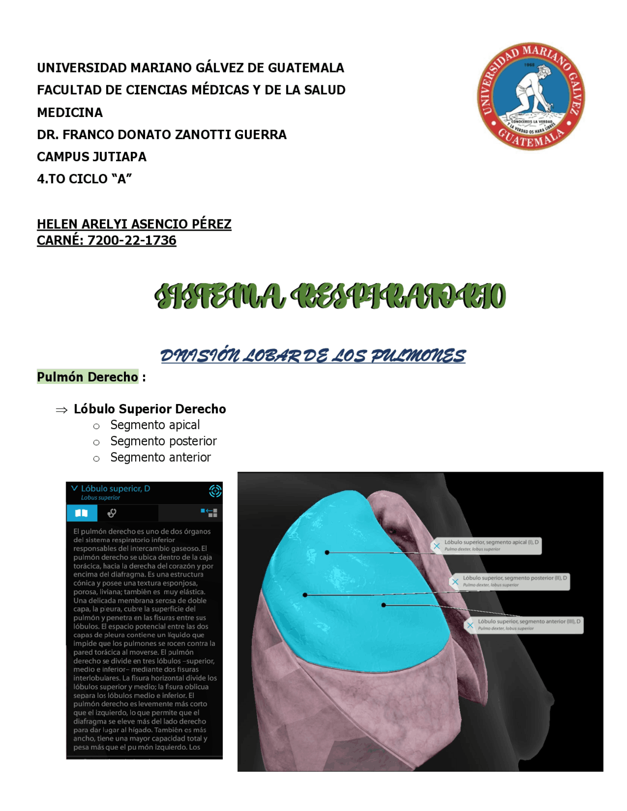 Sistema Respiratorio Apuntes De Anatomía Aplicada Docsity