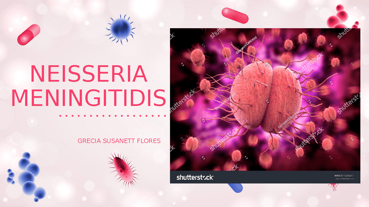 NEISSERIA MENINGITIDIS | Diapositivas de Microbiología | Docsity