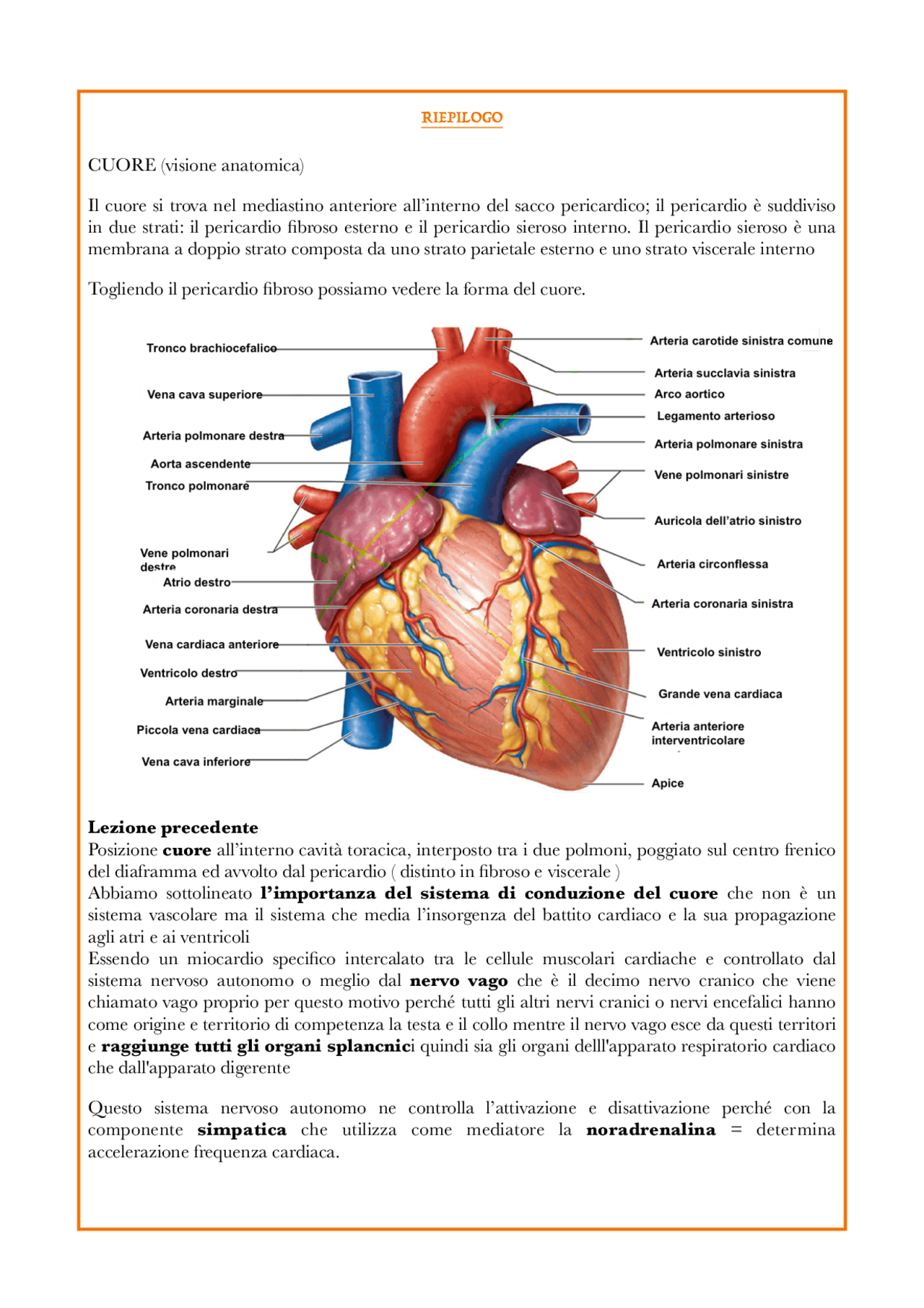 Tronco Polmonare UNIVERSITÁ DEGLI STUDI DI PADOVA