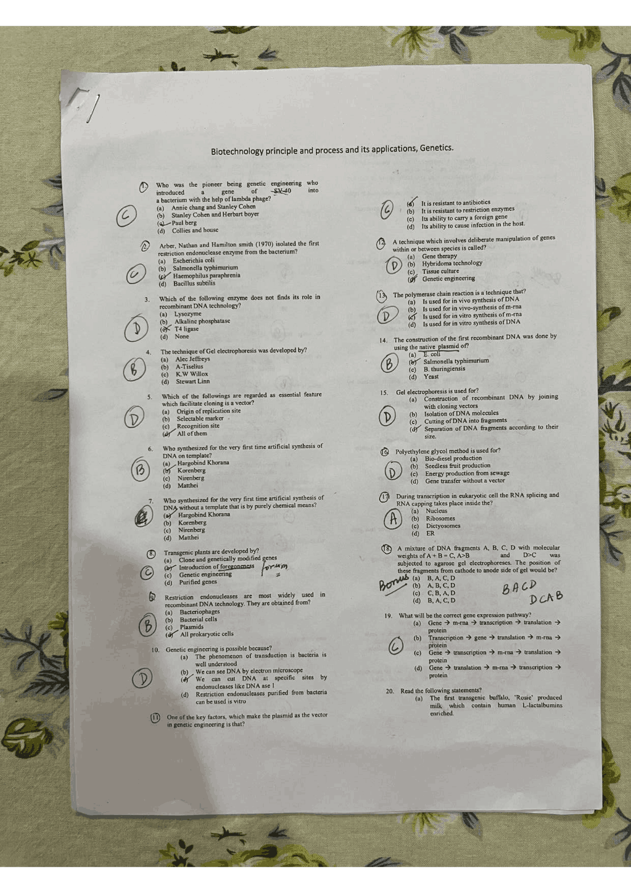 Biotechnology: principals and applications | Lecture notes Biology ...