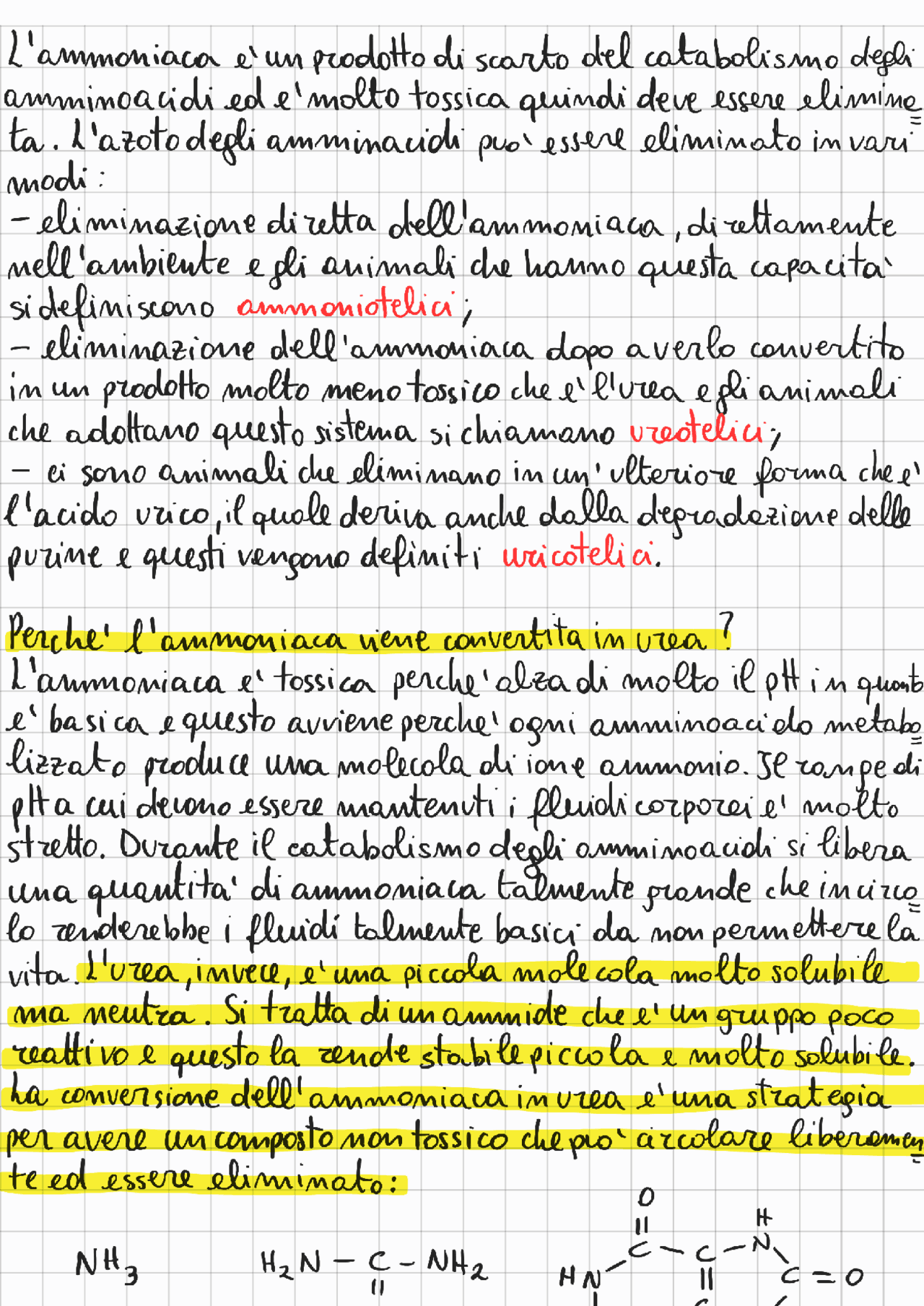 Ciclo Dell Urea Specifico Dispense Di Biochimica Docsity