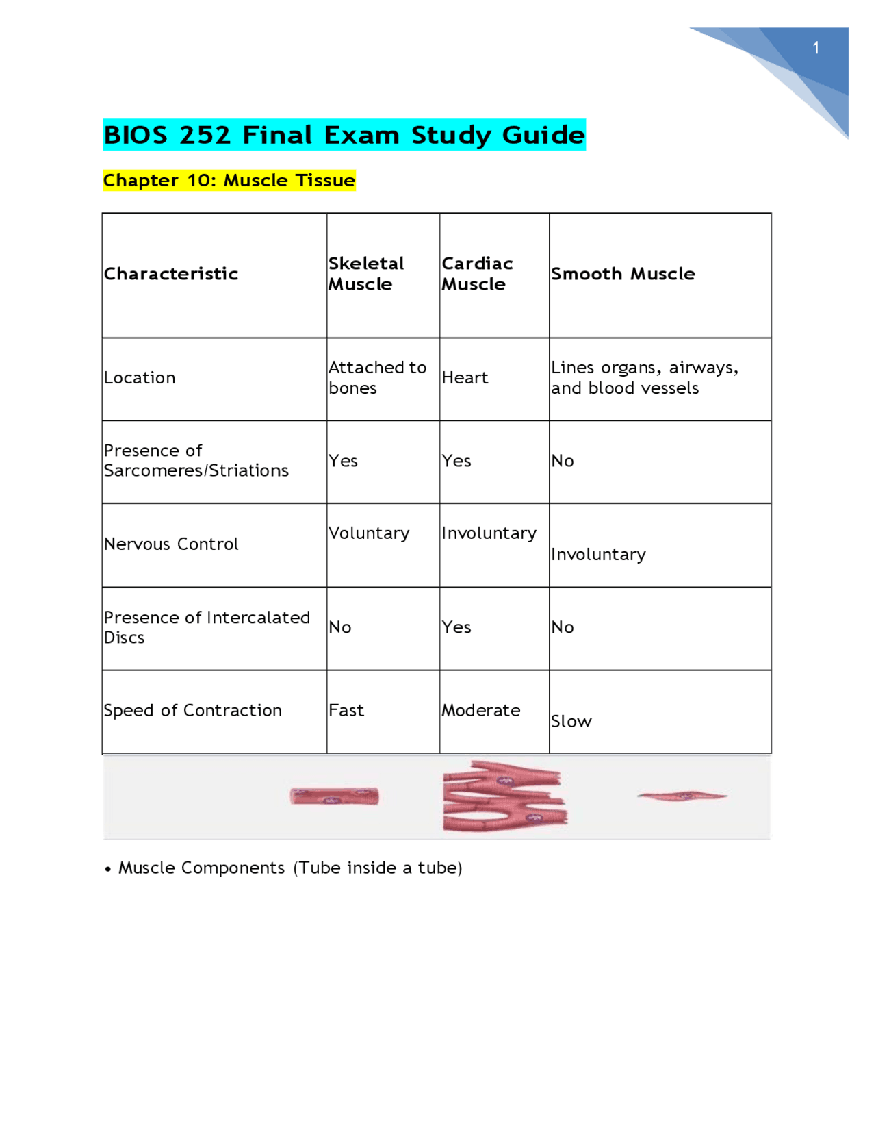 BIO252 FINAL EXAM STUDY GUIDE COMPLETE SOLUTION | Exams Nursing | Docsity