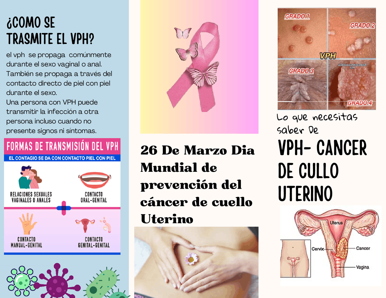 Cómo se transmite el VPH y cómo prevenirlo | Diapositivas de Historia ...