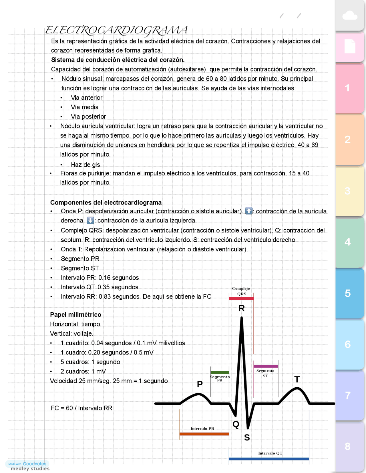Generalidades electrocardiograma | Esquemas y mapas conceptuales de Fisiología | Docsity