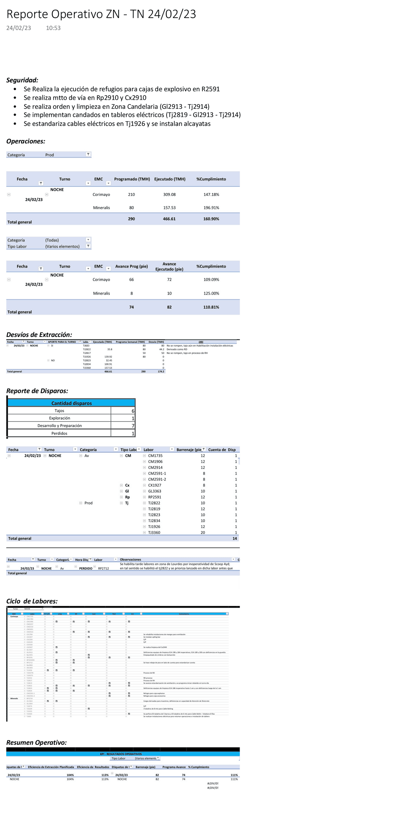 Modelo de reporte operativo | Guías, Proyectos, Investigaciones de ...