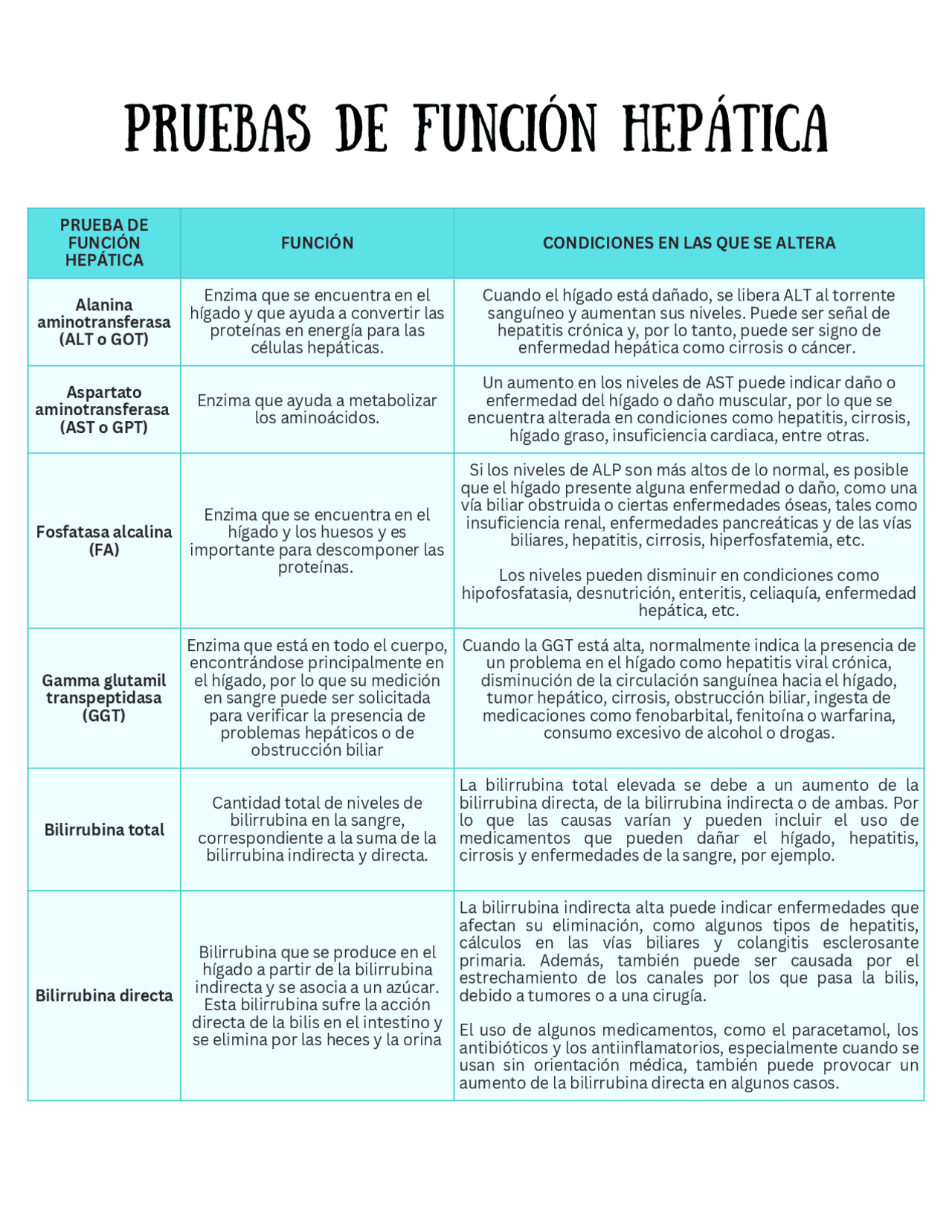 Pruebas de función hepática | Apuntes de Fisiología Humana | Docsity