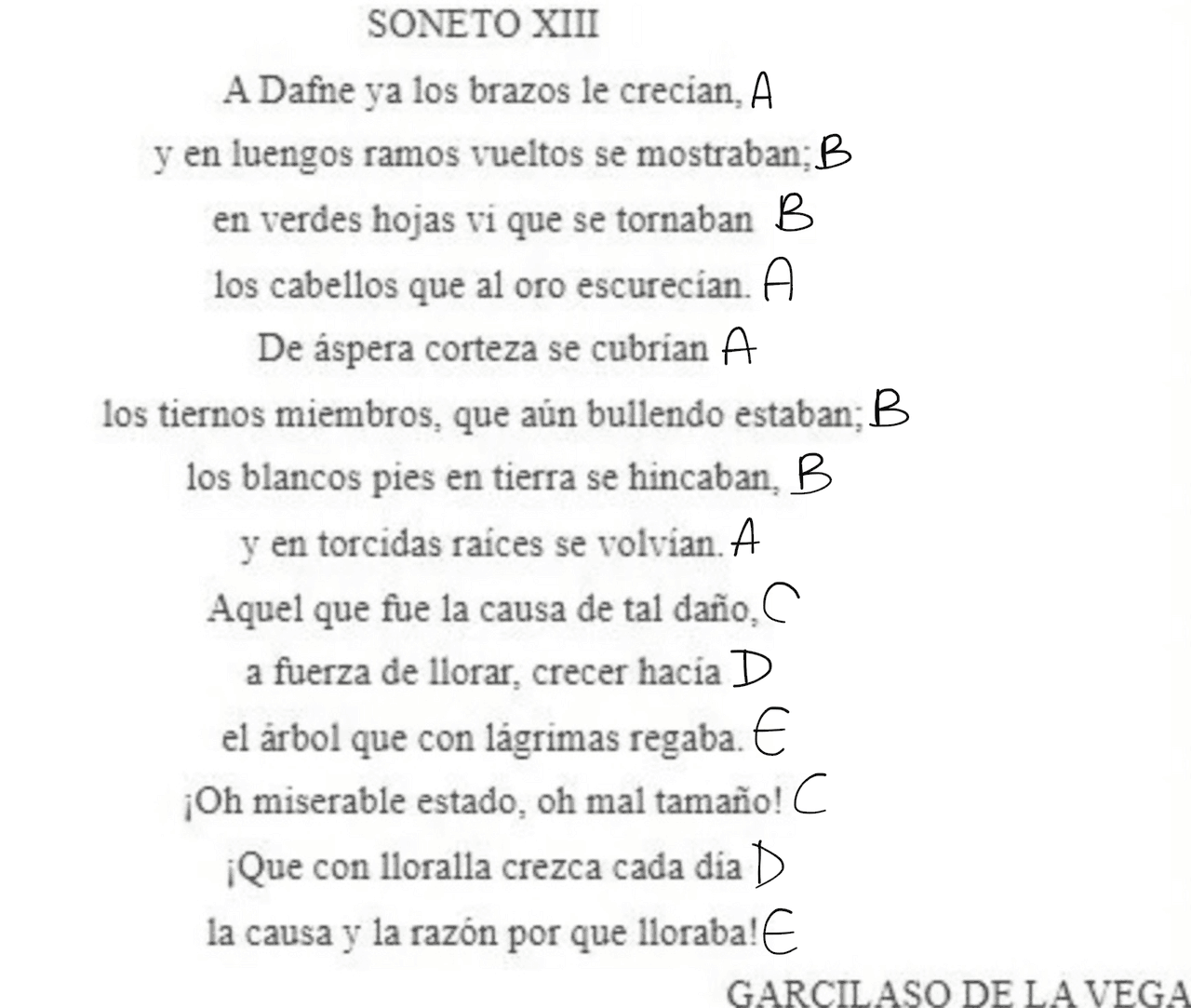 Composición de un fragmento de un poema | Ejercicios de Lengua y ...