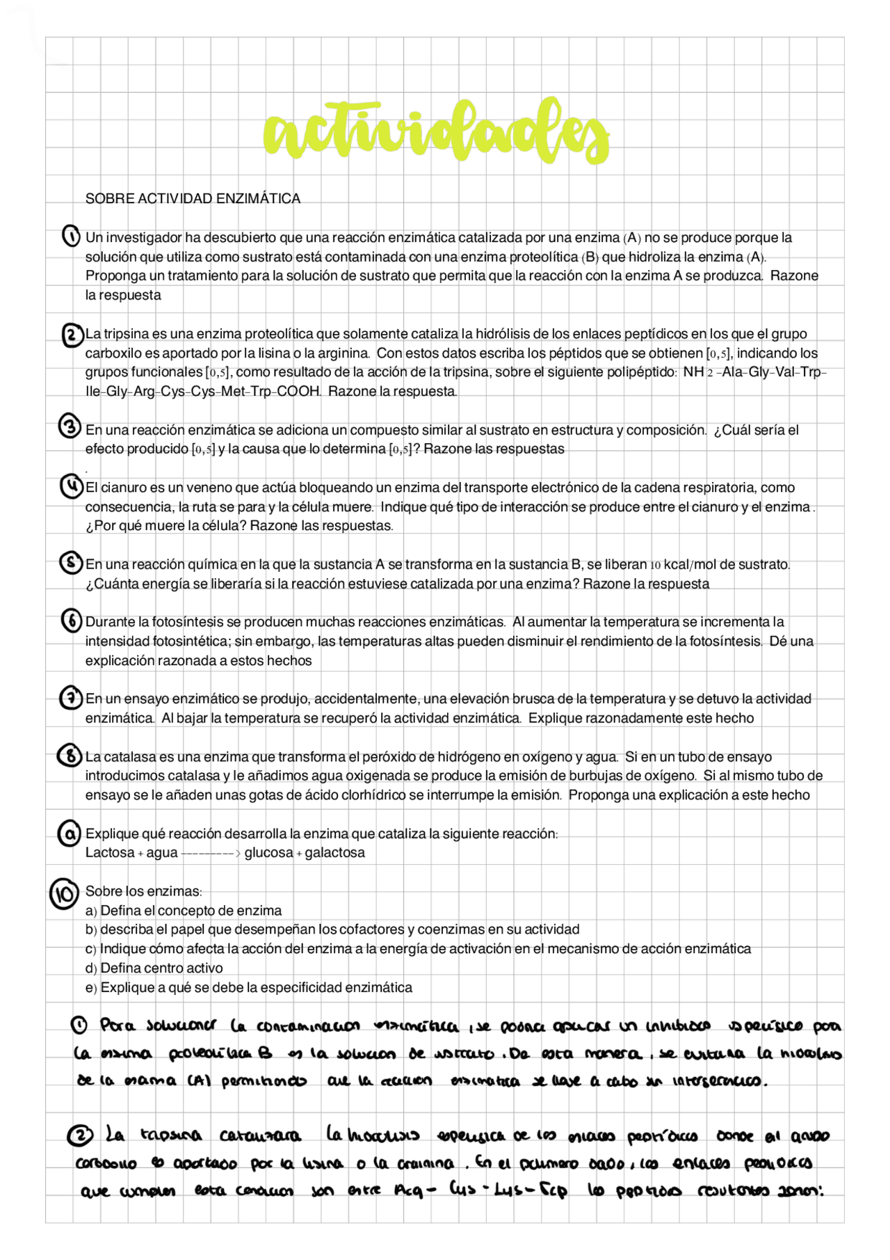 Actividades enzimas y proteinas selectividad | Ejercicios de Biología | Docsity