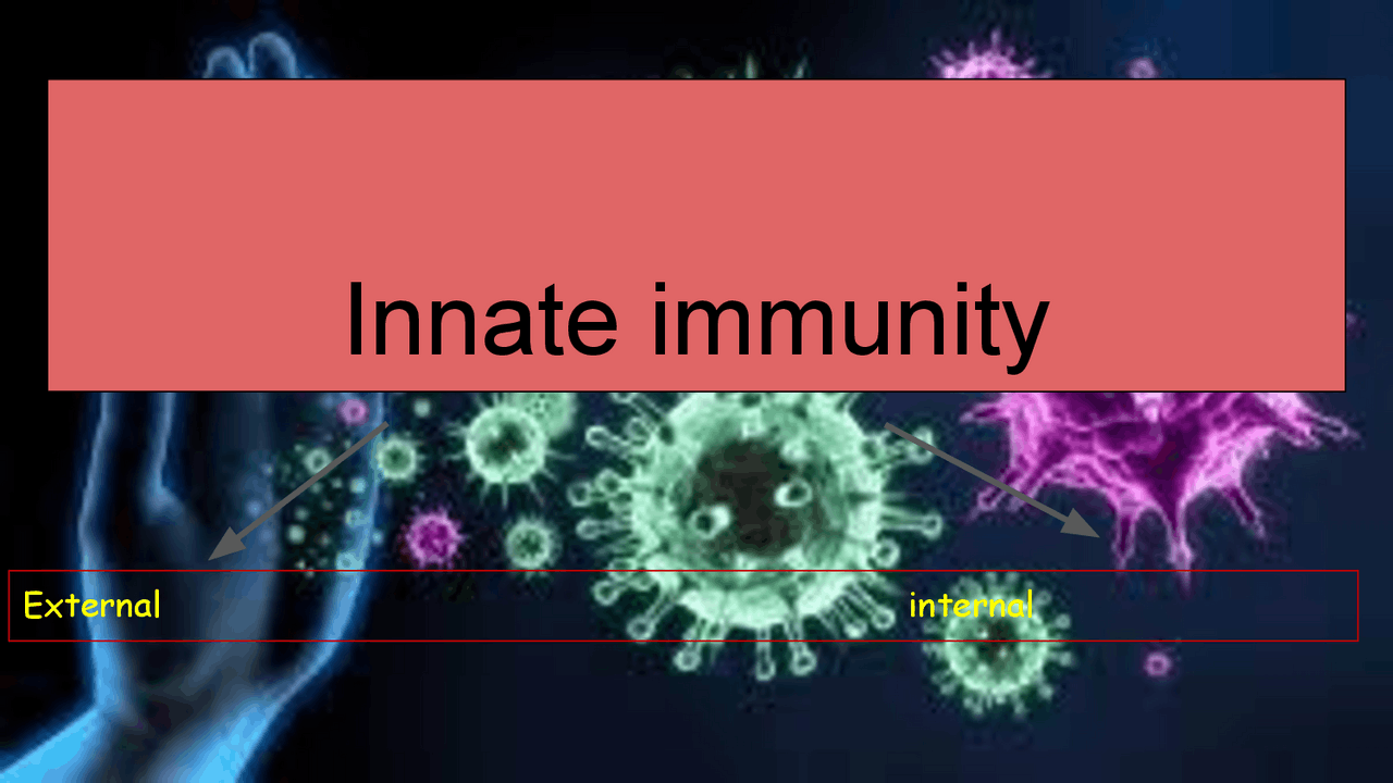 Innate Immunity: External and Internal Barriers | Schemes and Mind Maps ...