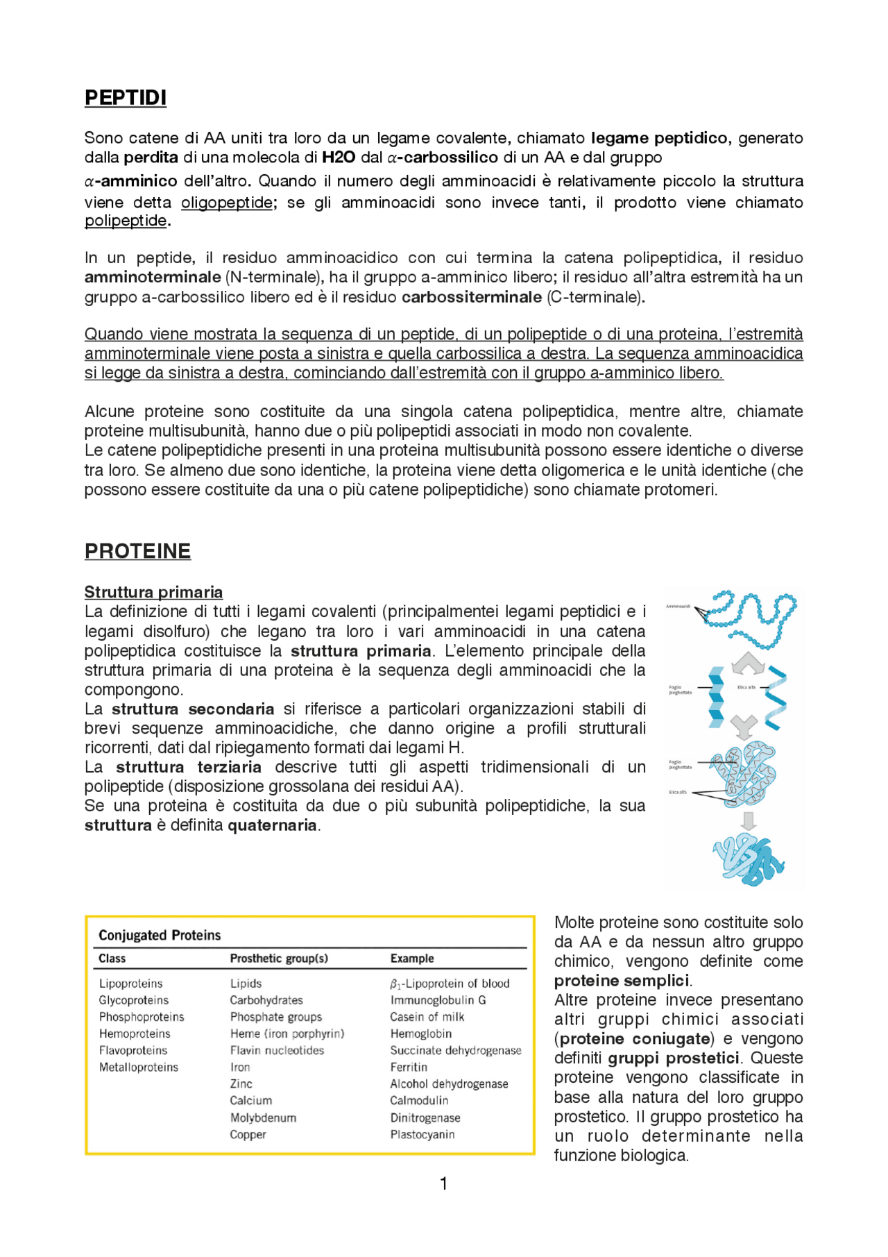 Peptidi e Proteine (riassunto) | Schemi e mappe concettuali di Biochimica | Docsity
