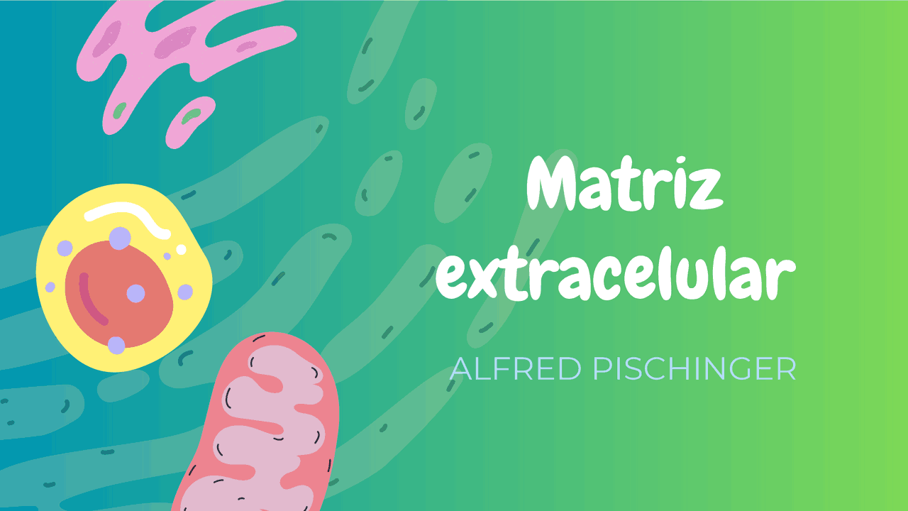 Matriz extracelular, organelo de la celula | Diapositivas de Biología | Docsity