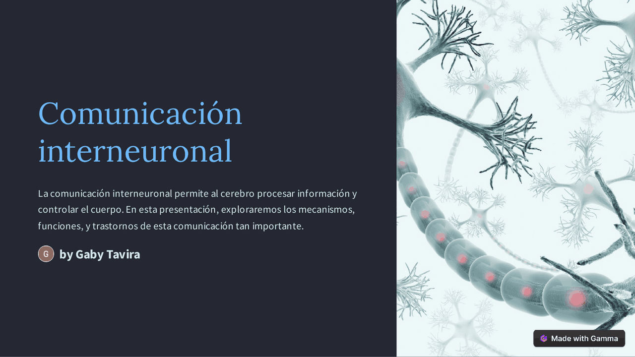 comunicacion interneuronal | Ejercicios de Anatomía | Docsity
