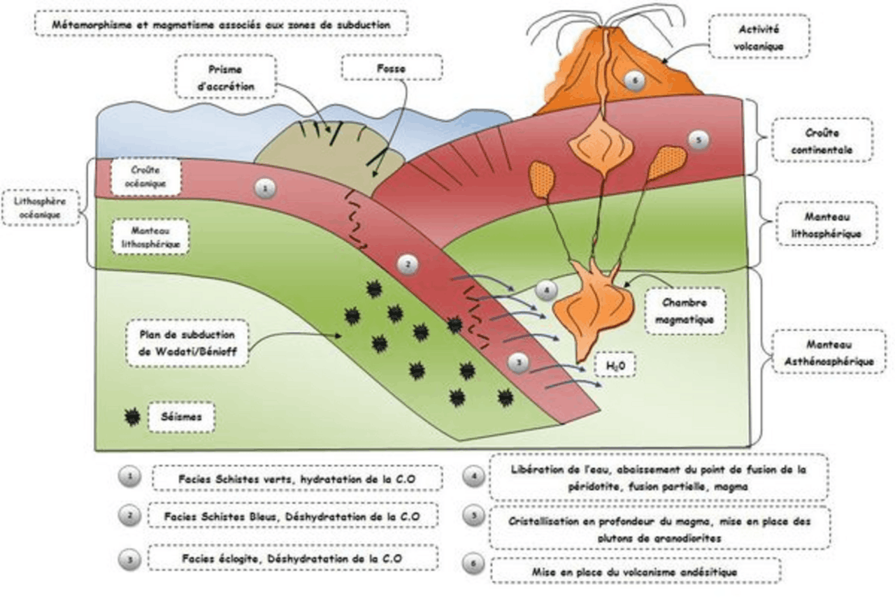schéma complet de géologie | Schémas Sciences de la Vie et de la Terre ...