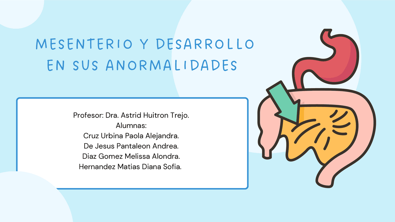 Explica sobre el mesenterio. | Diapositivas de Gastroenterología | Docsity